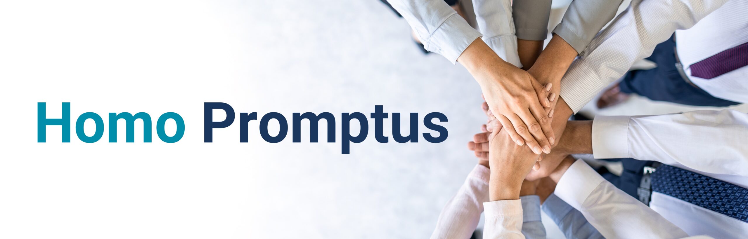 About us - Homo Promptus